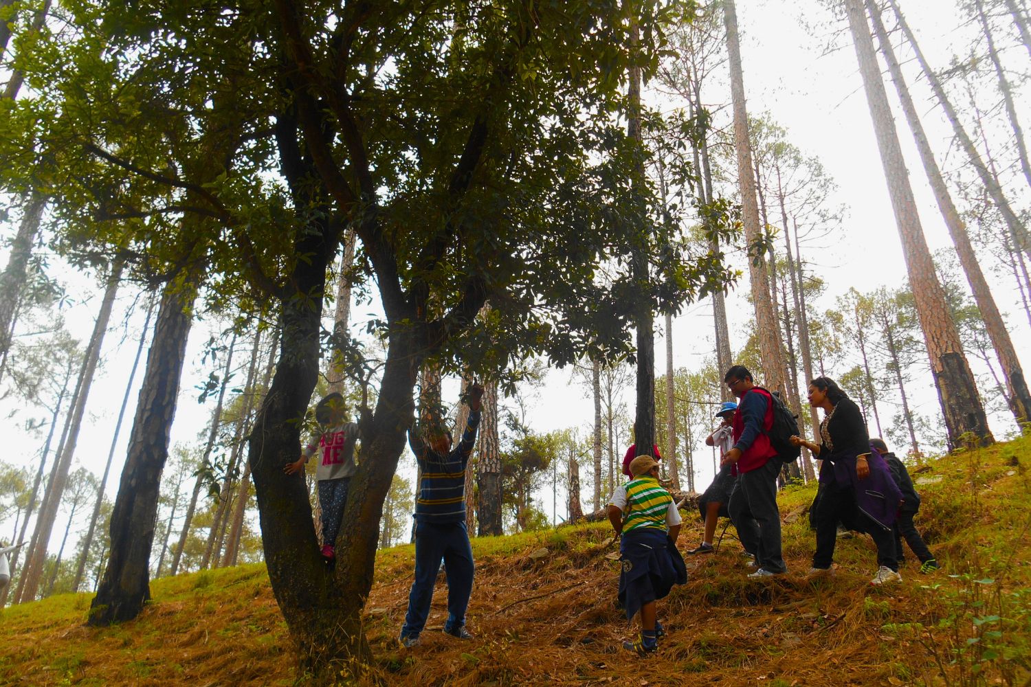 Renz Himalayan Retreat | Hotel In Corbett | Hotel In Ranikhet